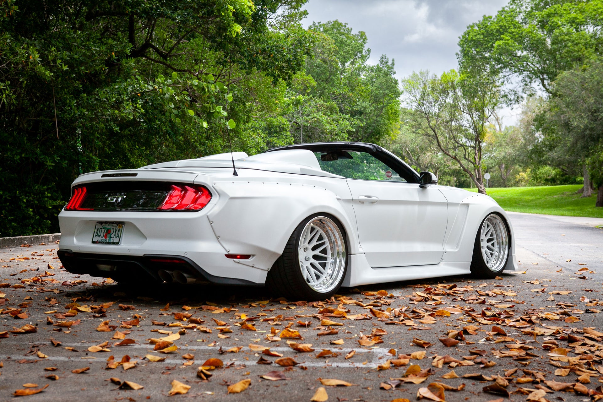 Ford Mustang Spider Top (S550 Convertible 2015-2023) – Clinched